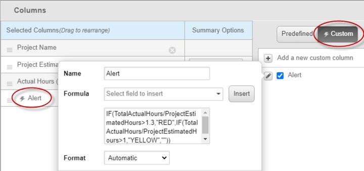 Report Custom Column Formula Usage Examples Replicon