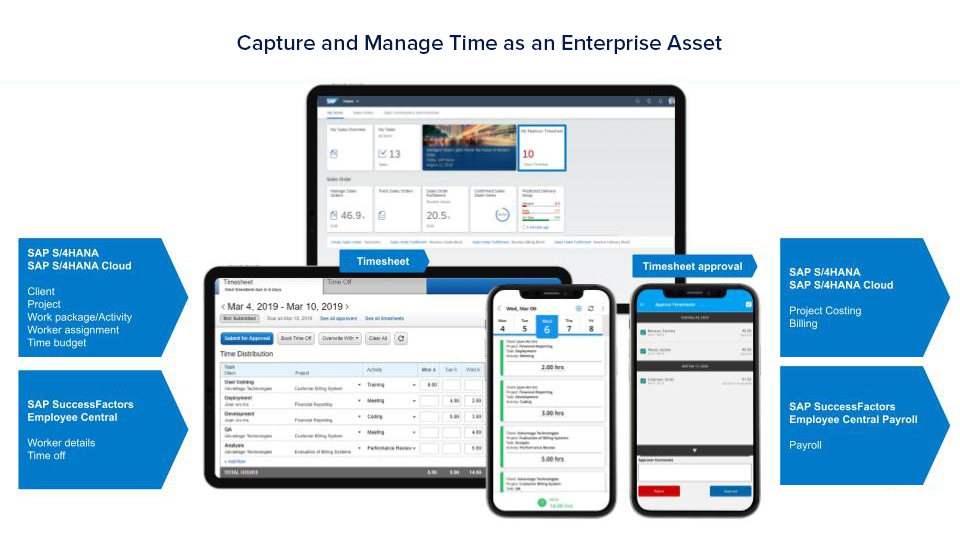 Service Organizations Time Tracking Solution on SAP | Replicon